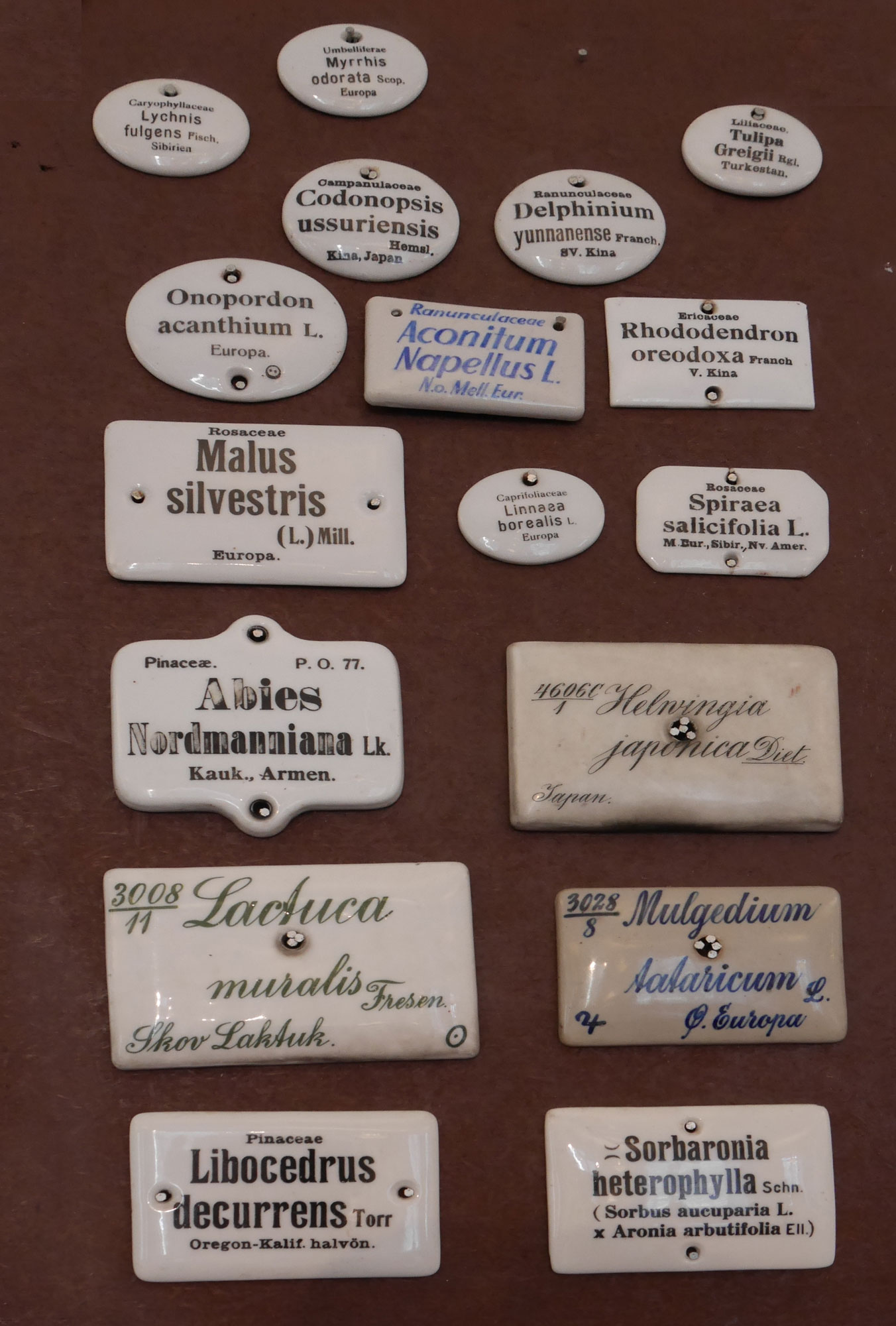 How Botanic Gardens Are Preserving Biodiversity