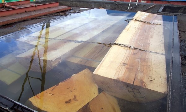 Differences between reconstituted veneer and natural veneer | Angelbau