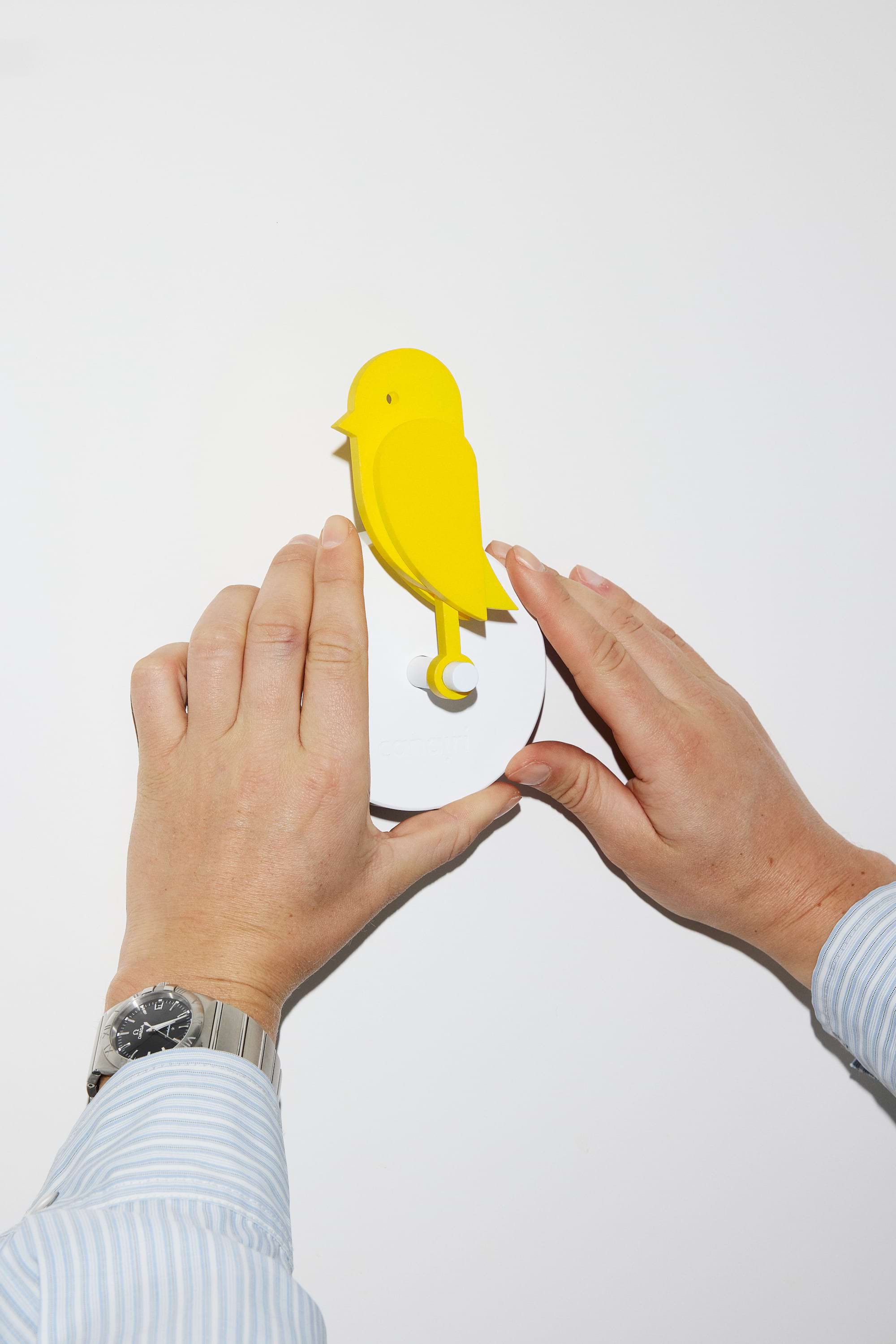 Birdie: Indoor air quality made simple