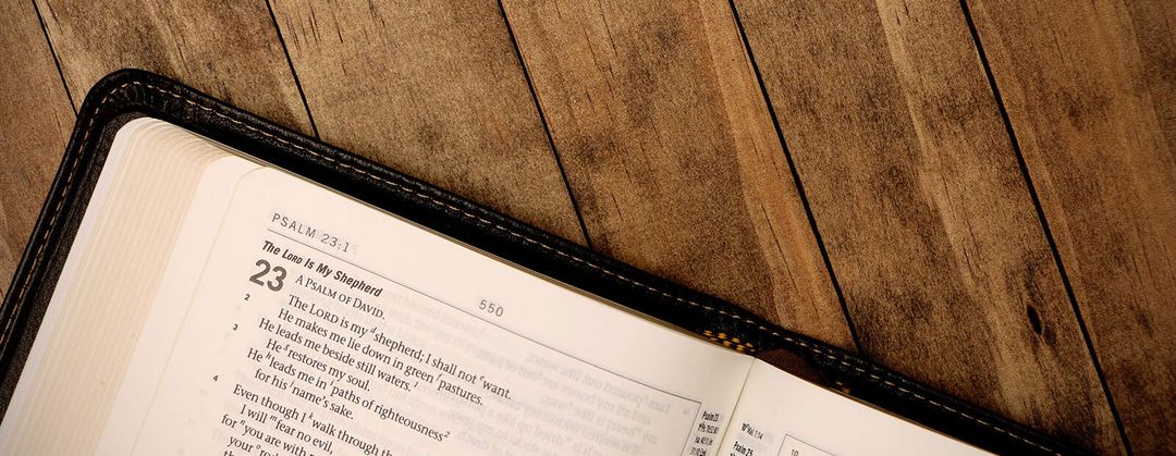 Bible Skills