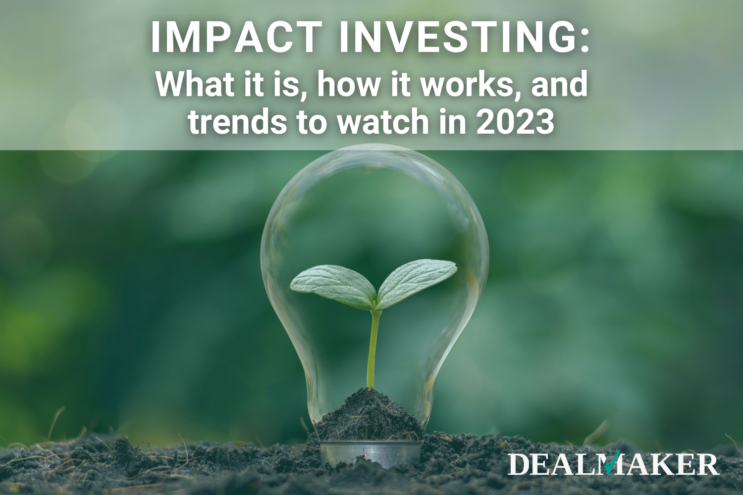 Impact Investing: What it is, how it works, and trends to watch in 2023 ...