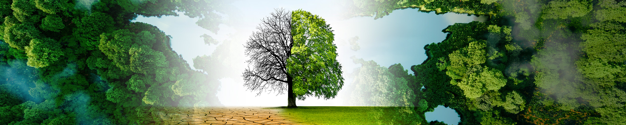 ISO and IAF add Climate Change to 31 Management Systems Standards