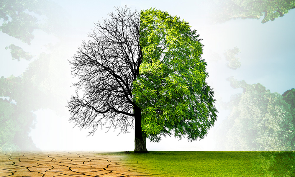 ISO and IAF add Climate Change to 31 Management Systems Standards