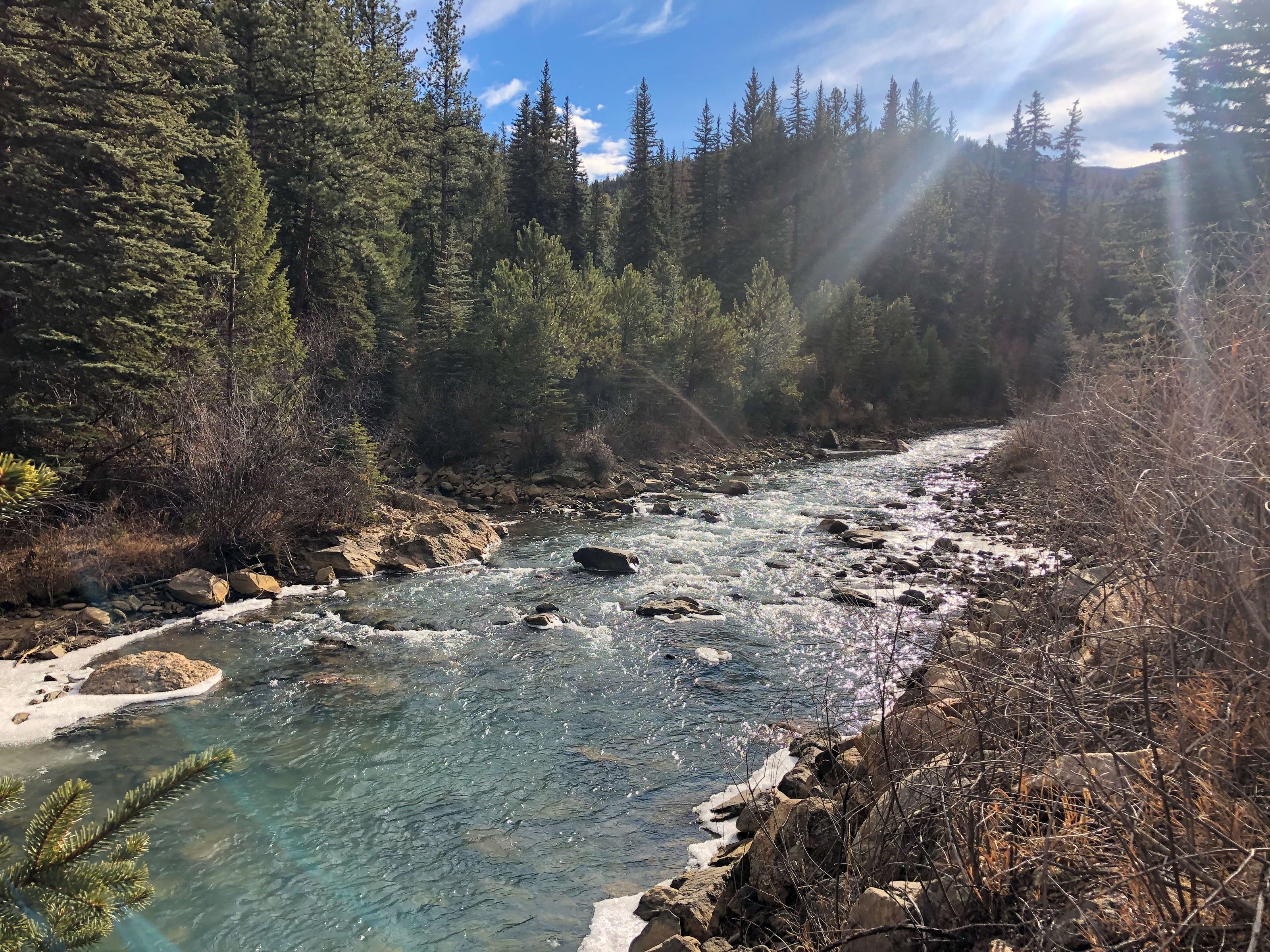 River Construction and Restoration | Freestone Aquatics