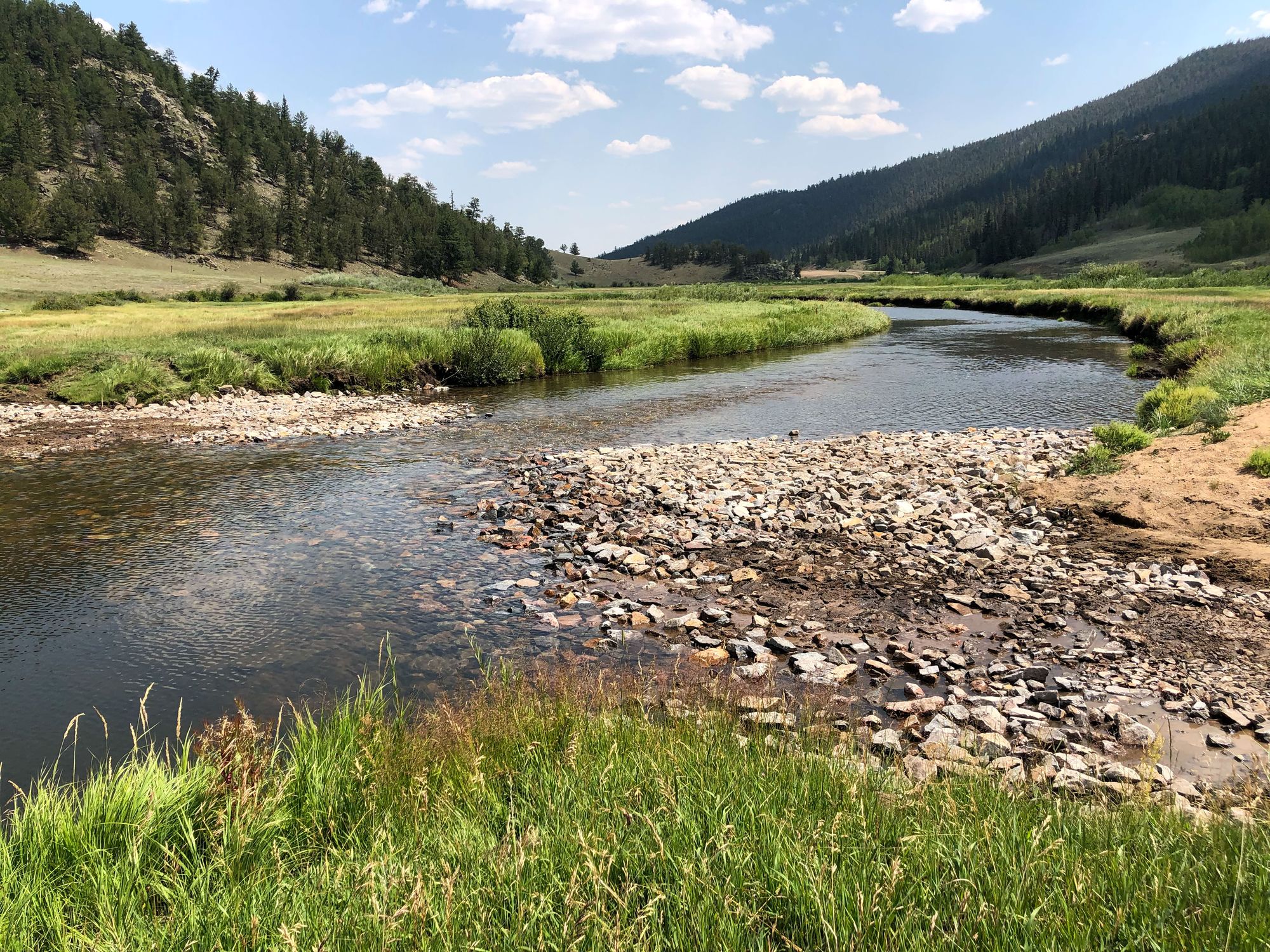 Stream Flows | Freestone Aquatics