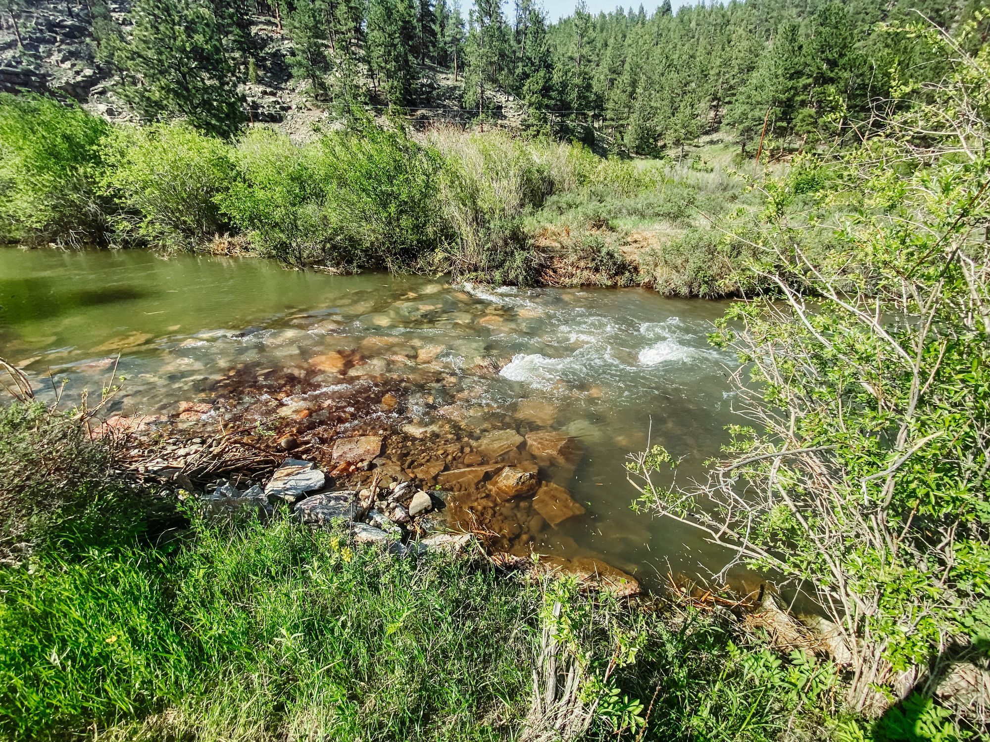 Meet Our Expert Team | Freestone Aquatics