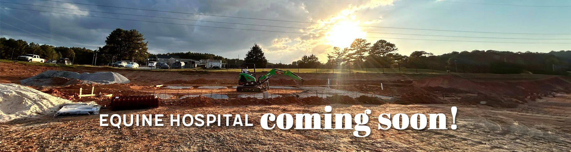 Countryside Vets - Kind Care & Modern Medicine Since 1991