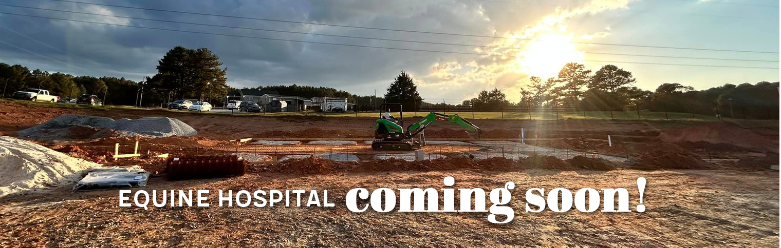 Countryside Vets - Kind Care & Modern Medicine Since 1991