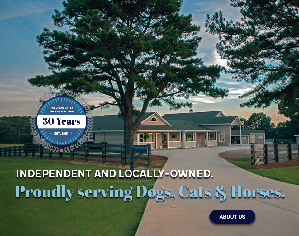 Countryside Vets - Kind Care & Modern Medicine Since 1991