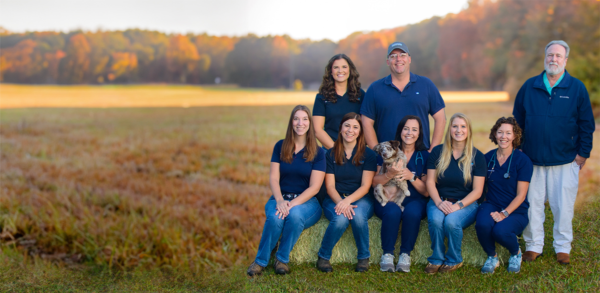 Countryside Vets - Kind Care & Modern Medicine Since 1991