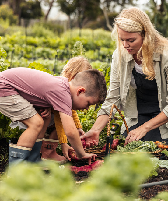 About Associa Houston | HOA Management Company