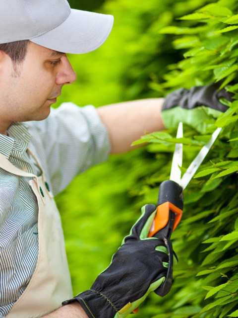 Professional HOA Maintenance Services | Associa Corporate