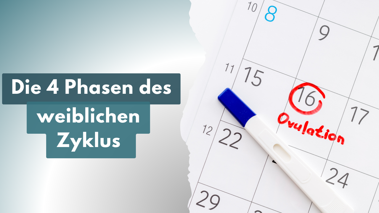Der weibliche Zyklus: Ablauf der 4 Phasen