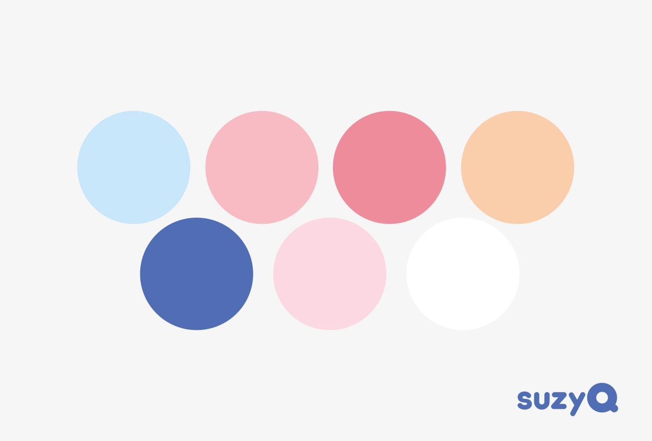 Suzy Q - Brand Refresh + Illustration