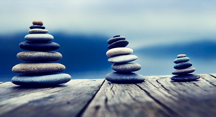 Embedded in Gravity: Musing about the Human Gravity Project | SFI Journal