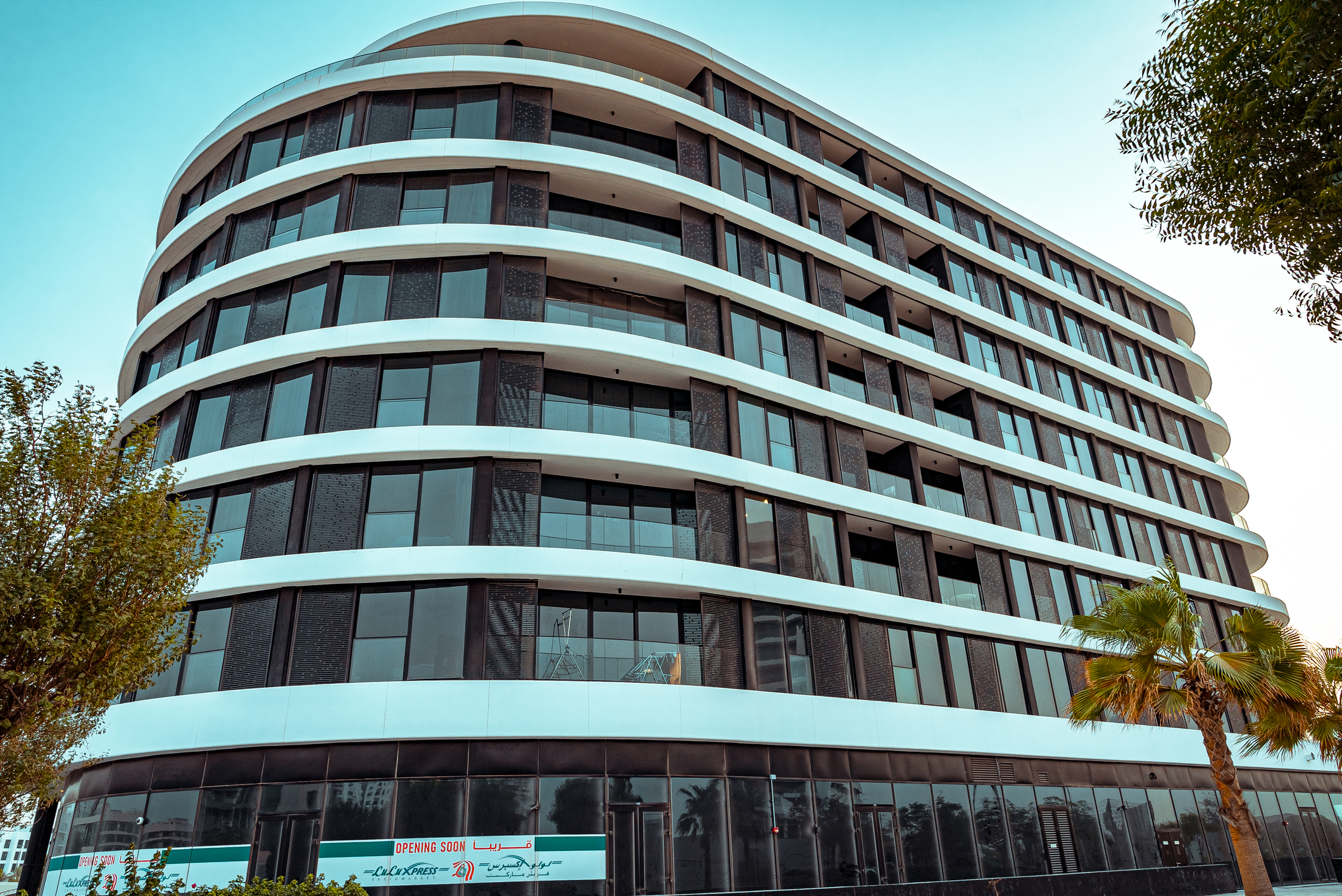 Olive Building Apartments - Residential