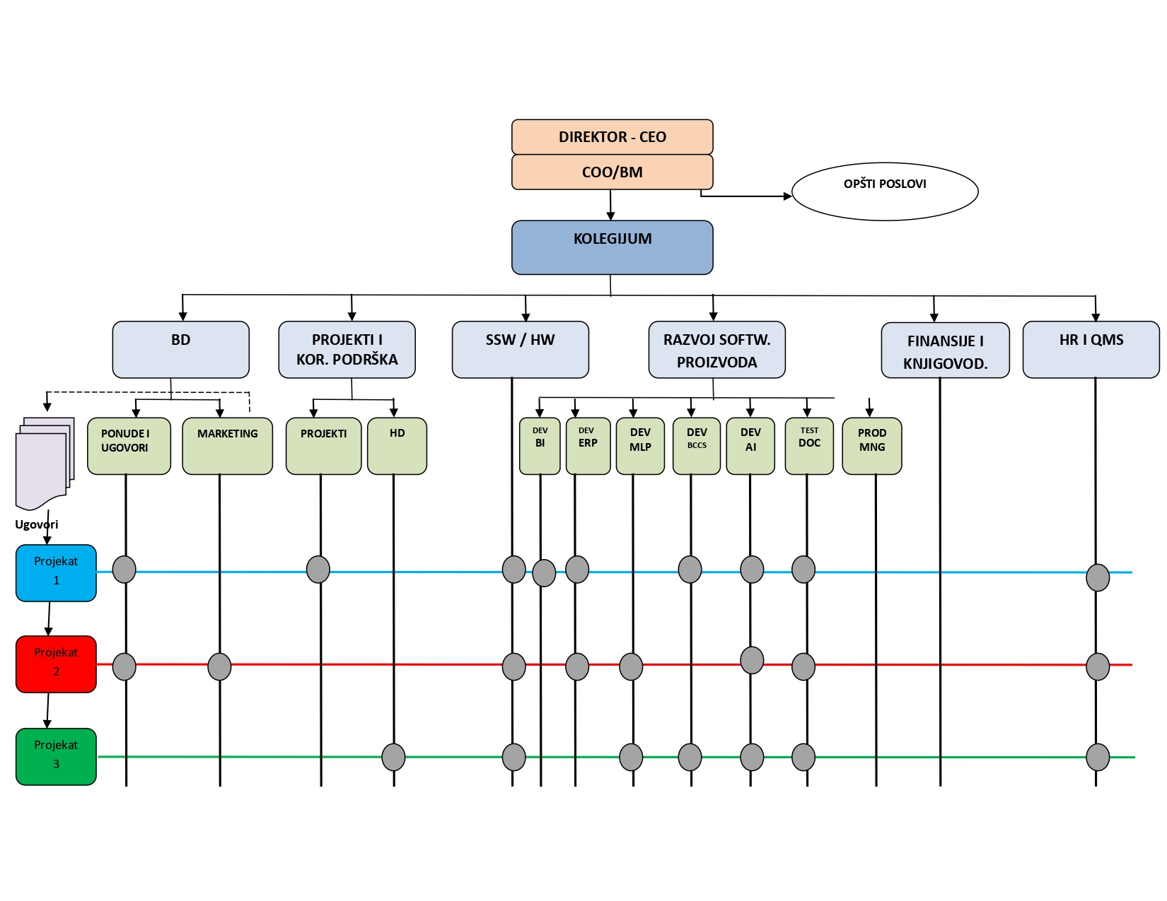 Organizaciona struktura