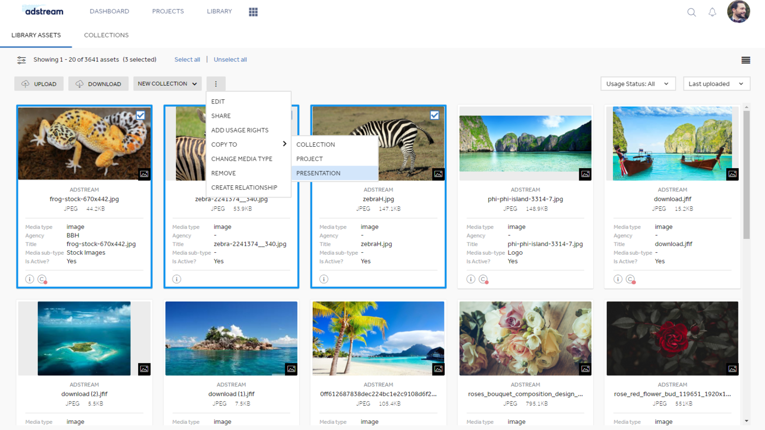 Choosing The Best Ad Management Tool For Your Agency