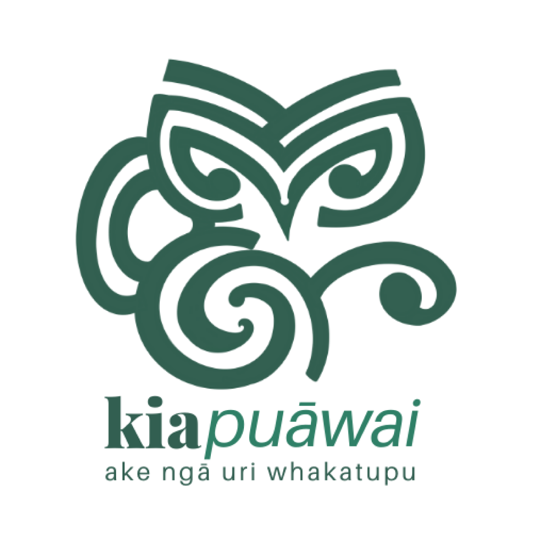 Kia Puāwai Latest News & Updates