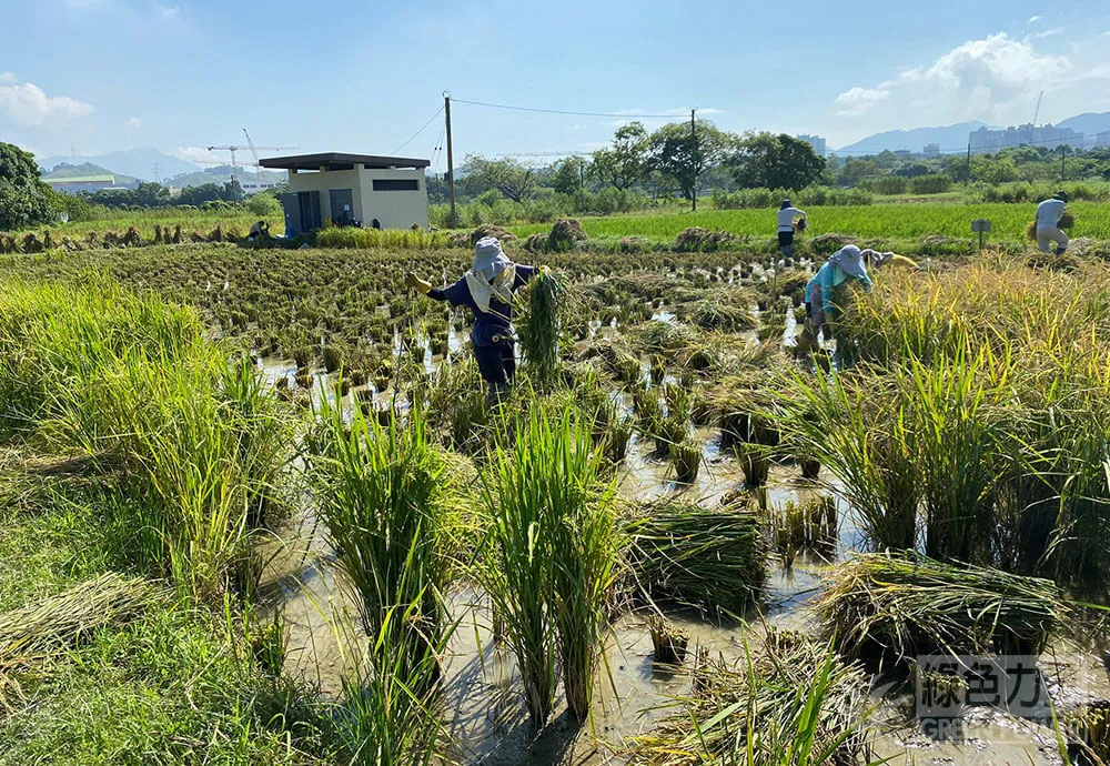 Long Valley Nature Park Habitat Management Service