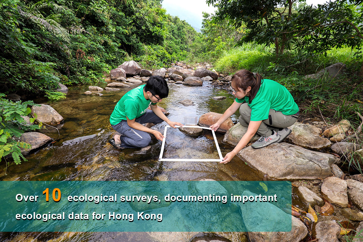 Green Power Corporate Partners