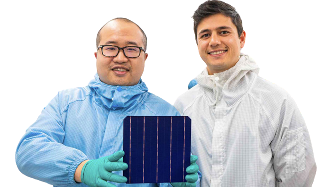 SunDrive | Blackbird