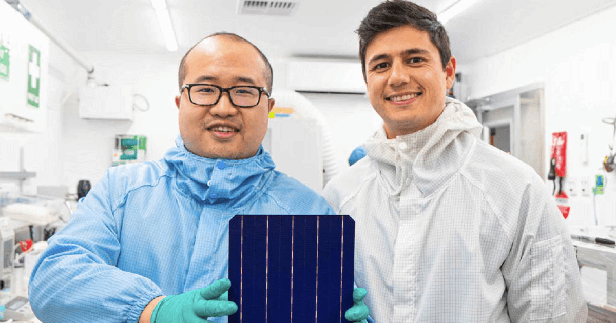 SunDrive | Blackbird