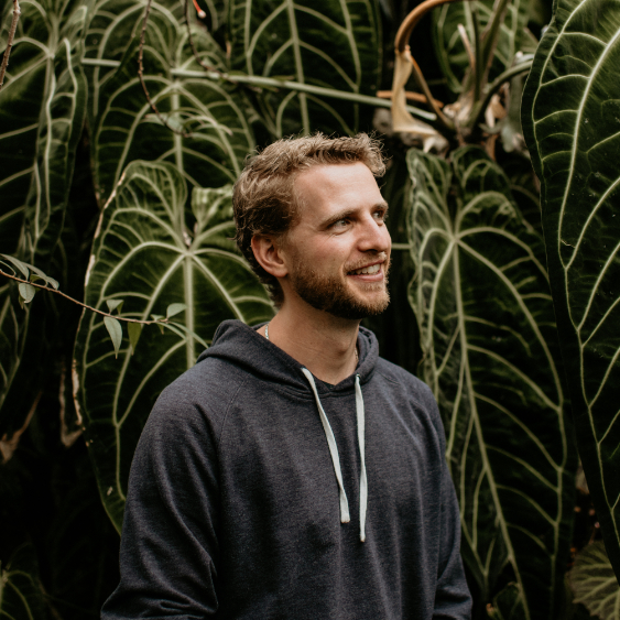 Ed Little | Blackbird