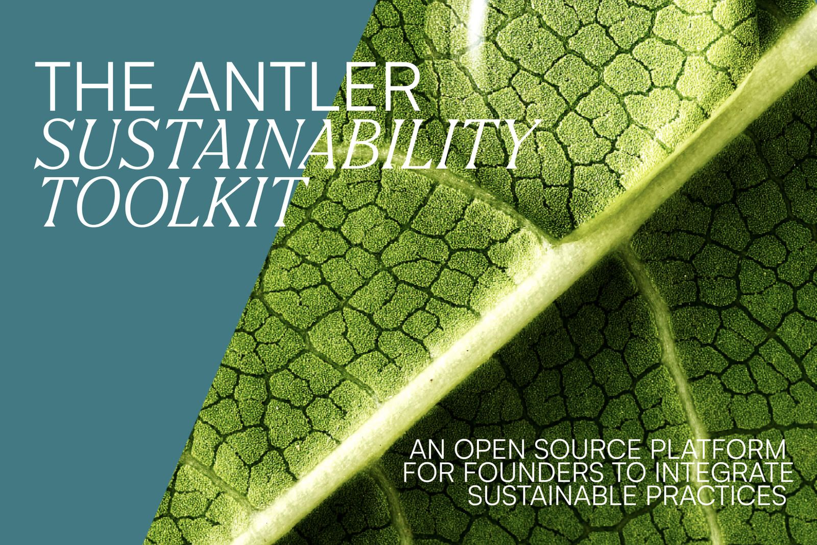 Mapping the Generative AI landscape | Antler