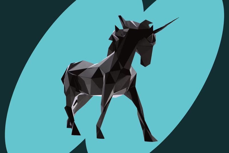 Unicorn Companies Explained: How Startups Achieve the $1 Billion ...