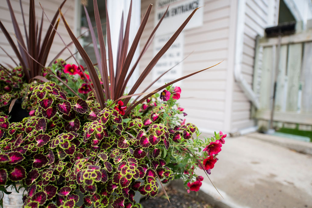 About - Tamarack Properties