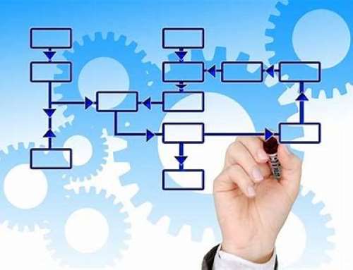 Blog | How to Build Systems and Processes in Business