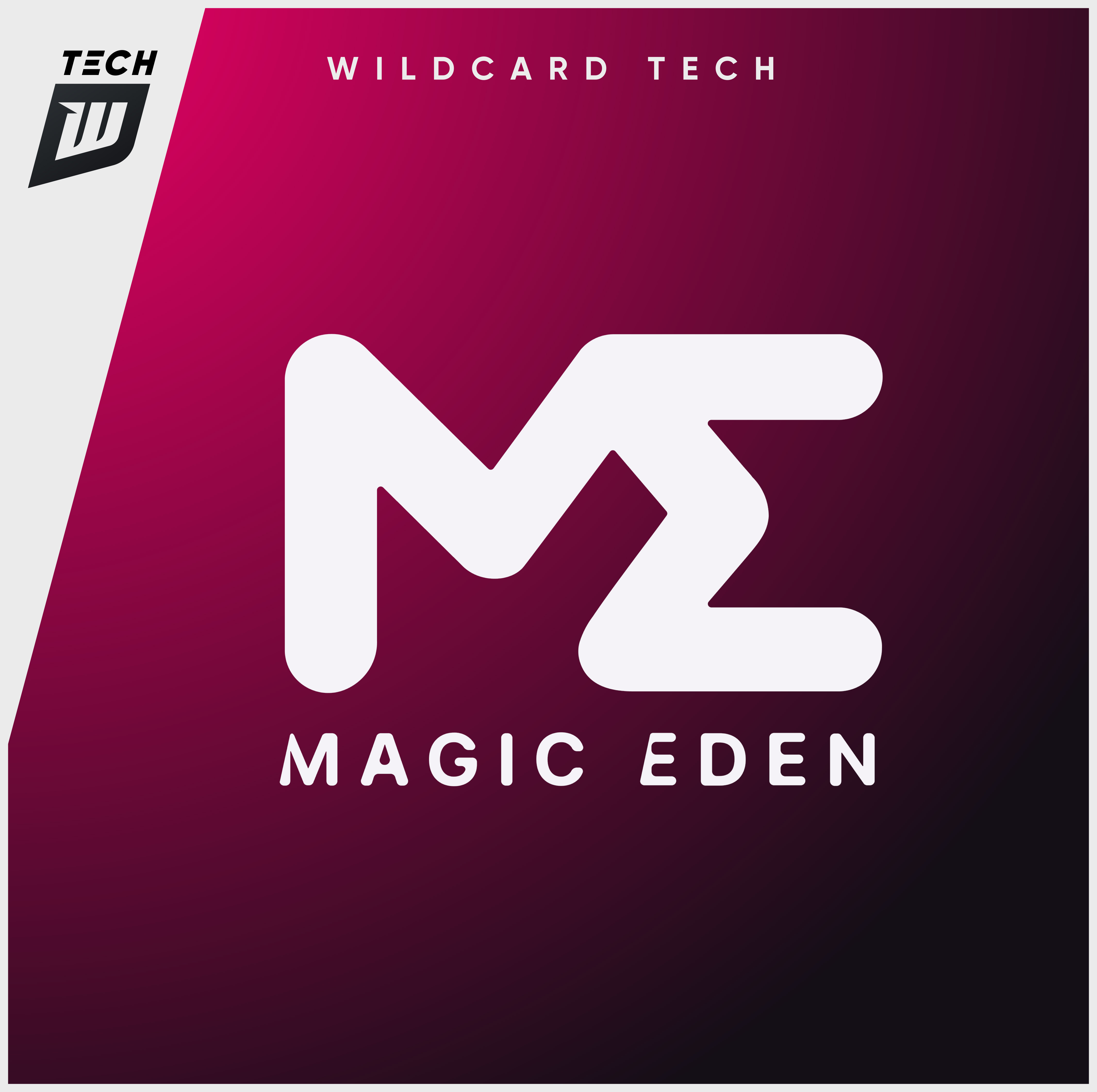Wildcard Alliance | A New World of Gaming is Coming Soon
