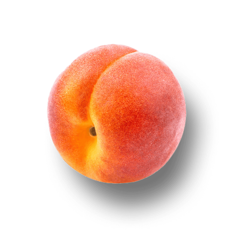 About Hazel Technologies