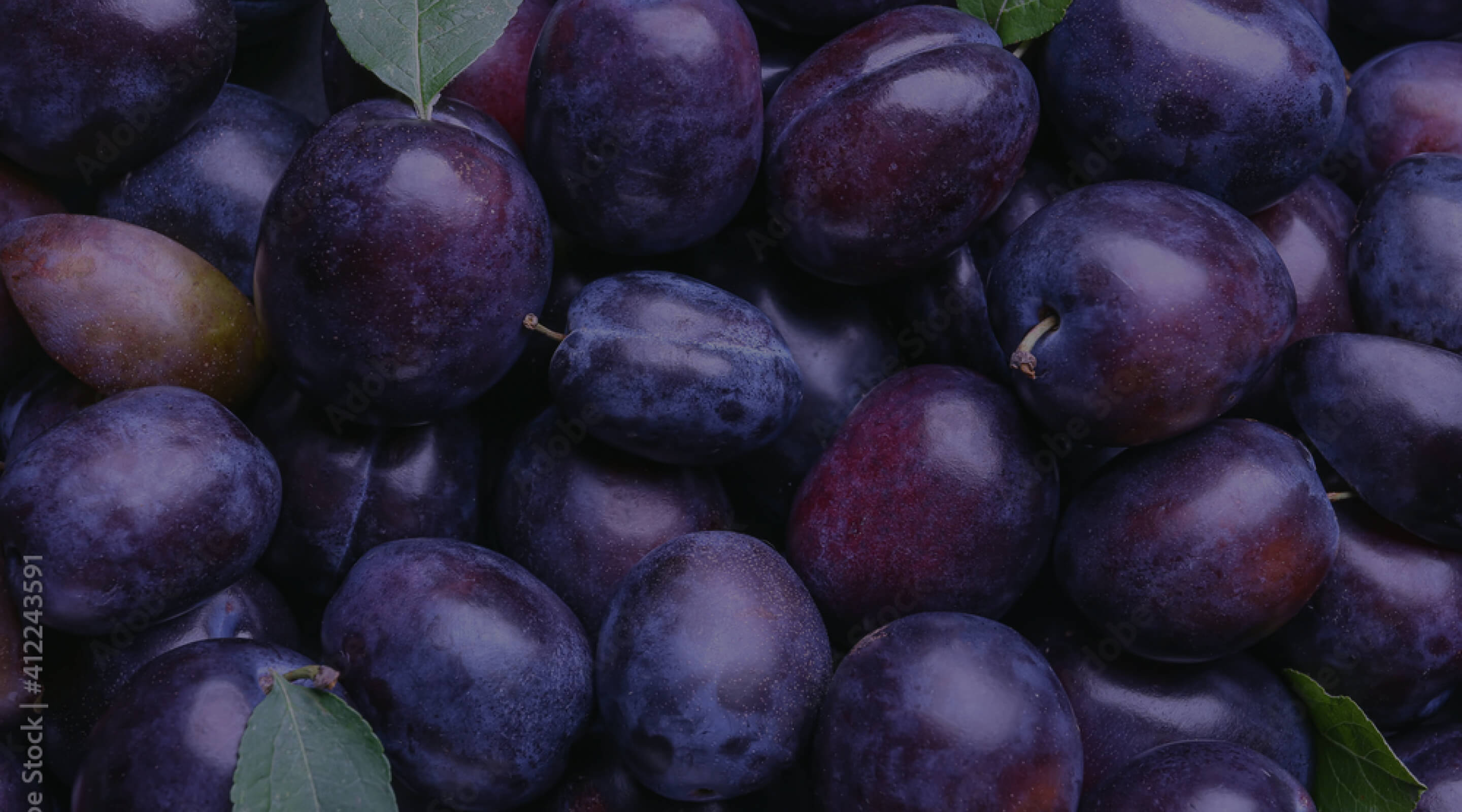 Plums at Hazel Technologies