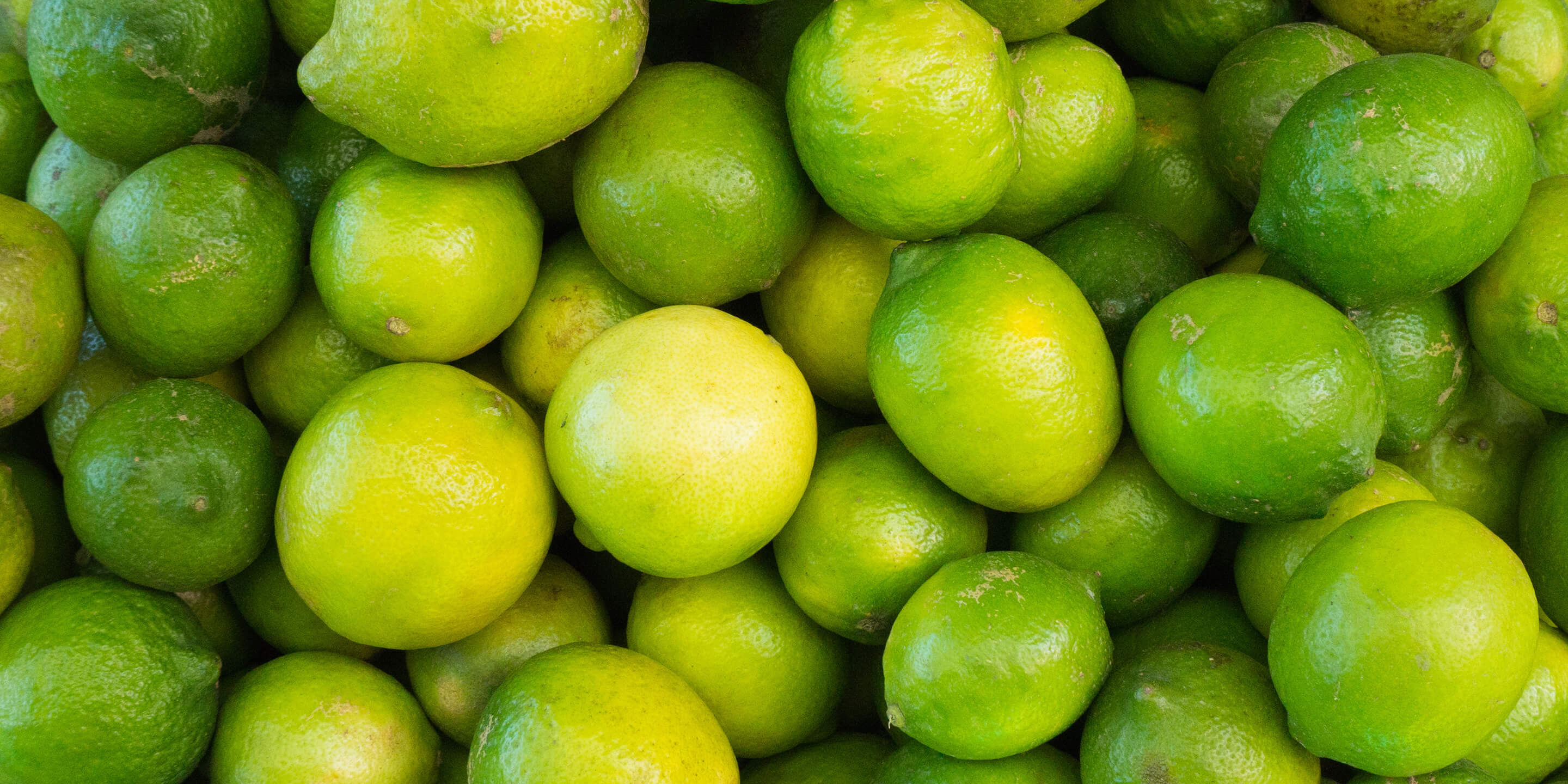 Limes at Hazel Technologies