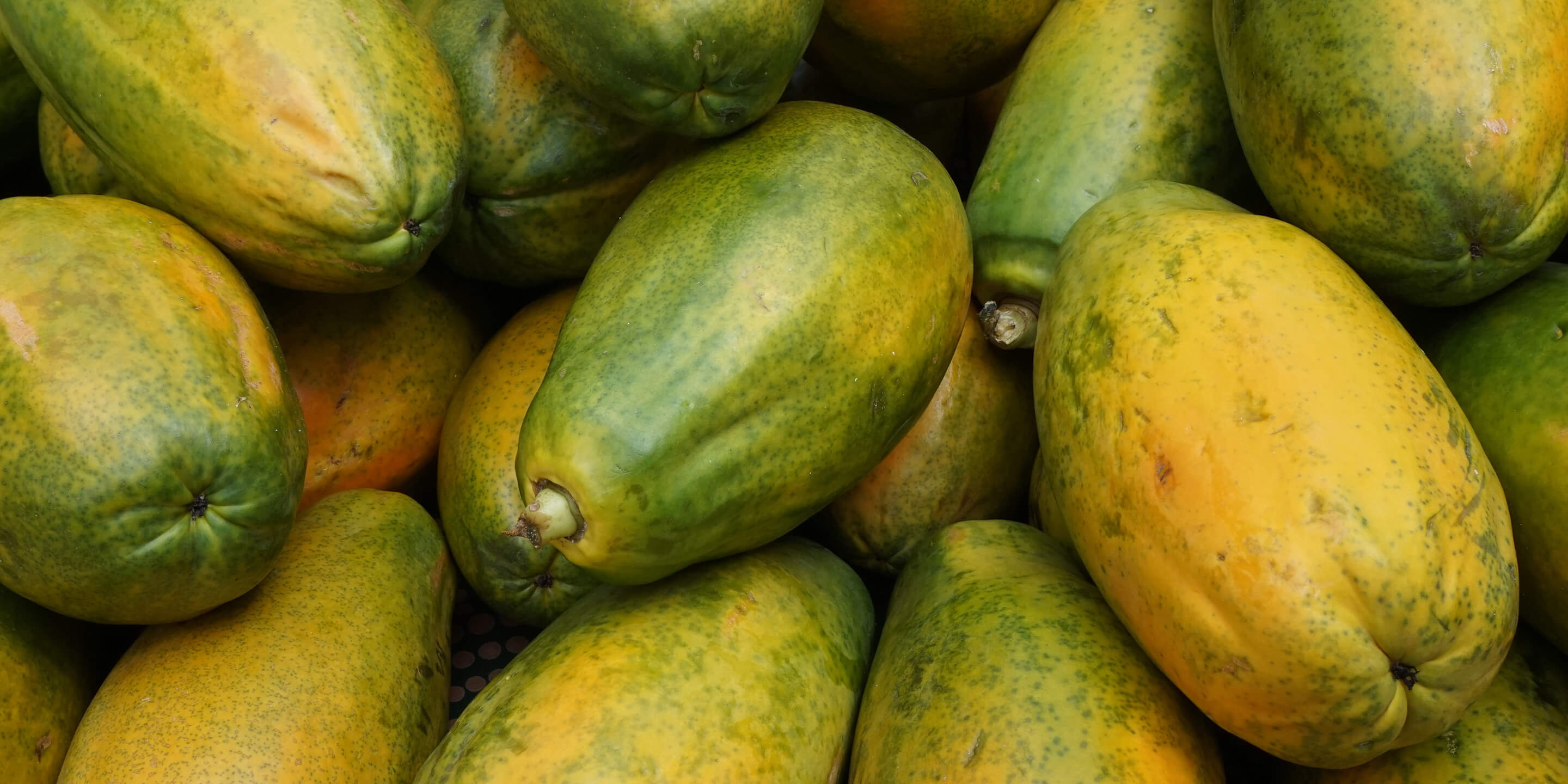 Papaya en Hazel Technologies