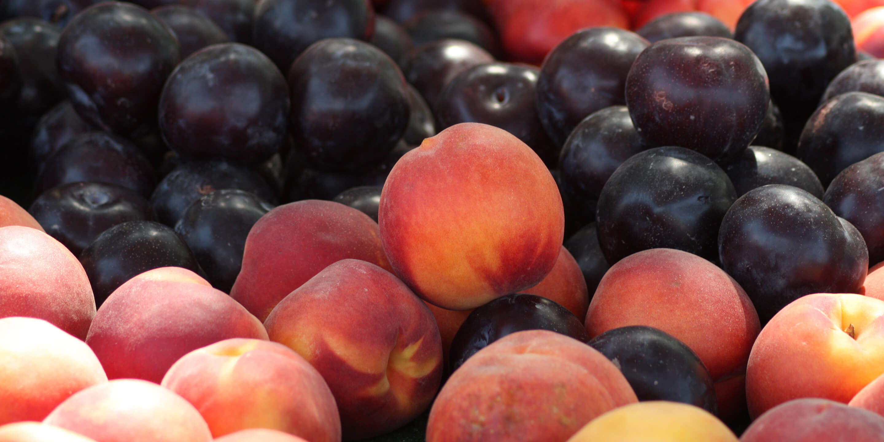 Stonefruit at Hazel Technologies