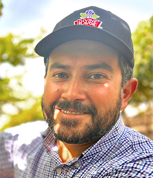 Divine Flavor Optimizes Table Grape Quality Through Partnership With ...