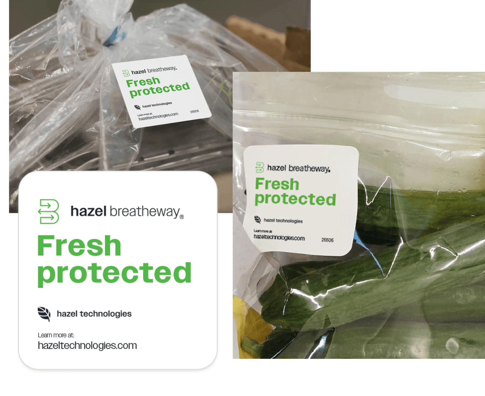 Hazel Breatheway® from Hazel Technologies