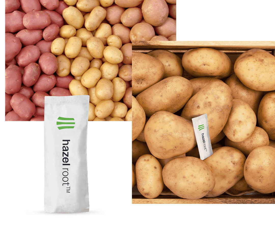 Hazel Root™ from Hazel Technologies