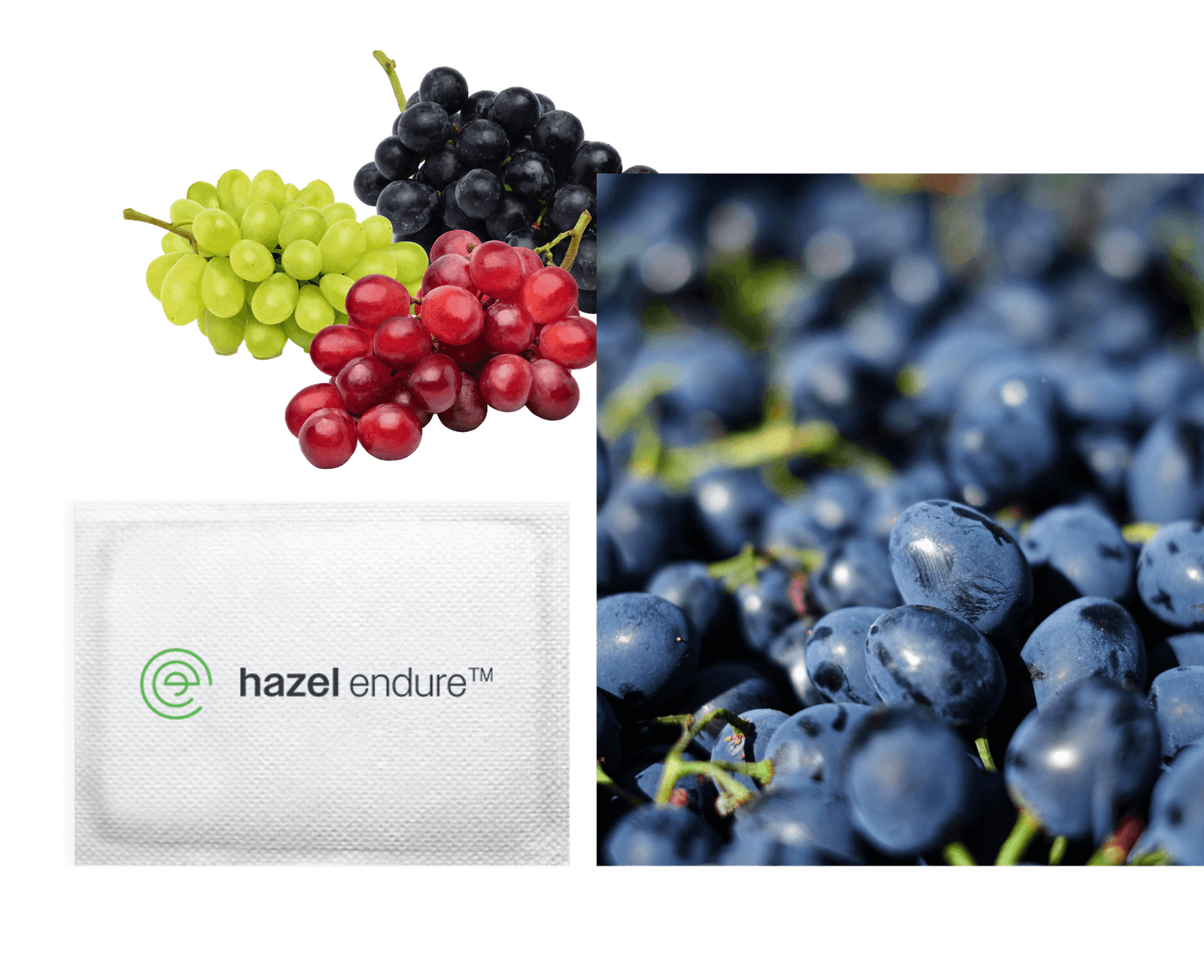 Hazel Endure™ from Hazel Technologies