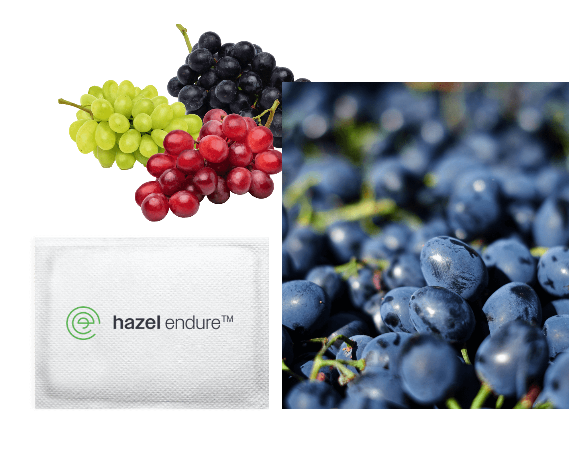Hazel Endure™ from Hazel Technologies
