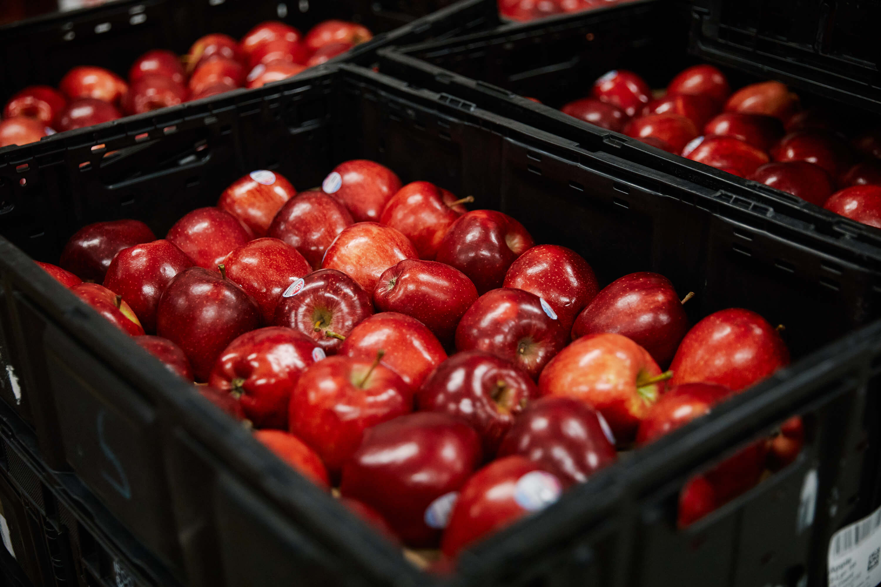 Hazel CA™ from Hazel Technologies