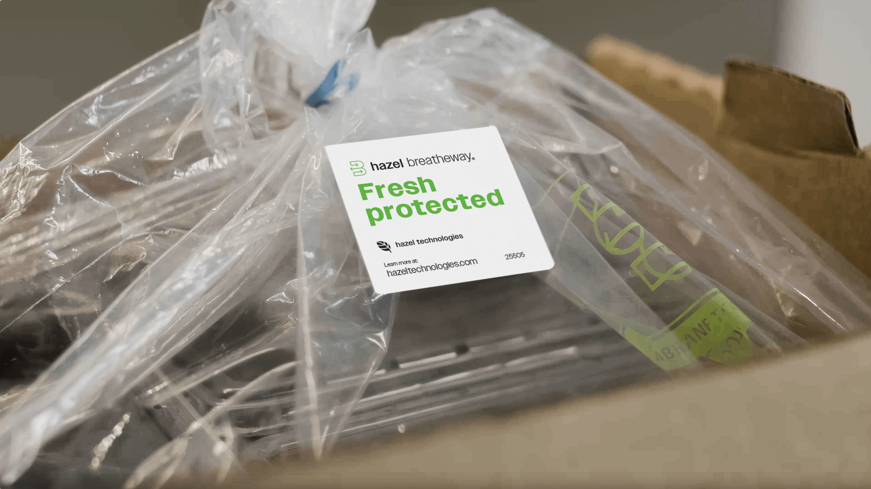 Hazel Breatheway® from Hazel Technologies