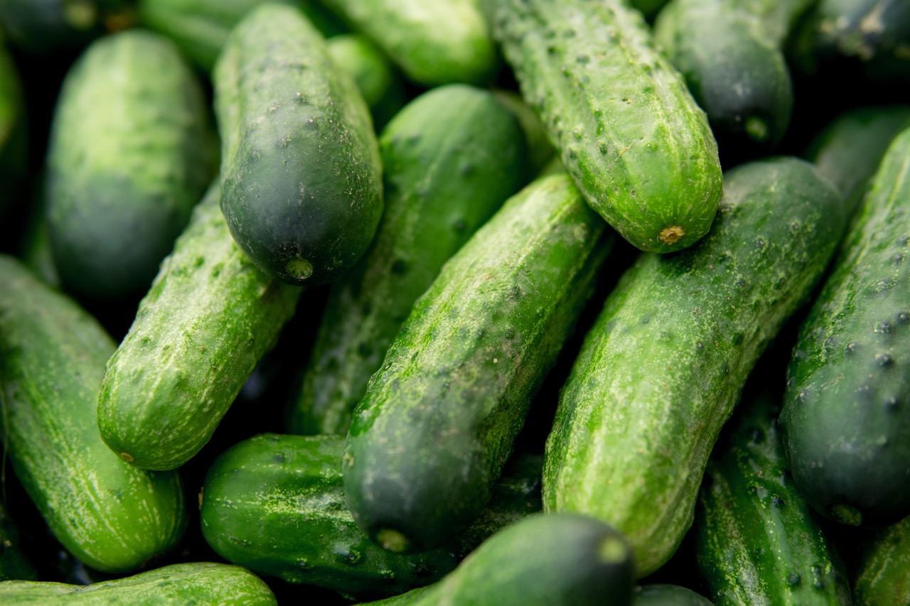 Cucumber at Hazel Technologies