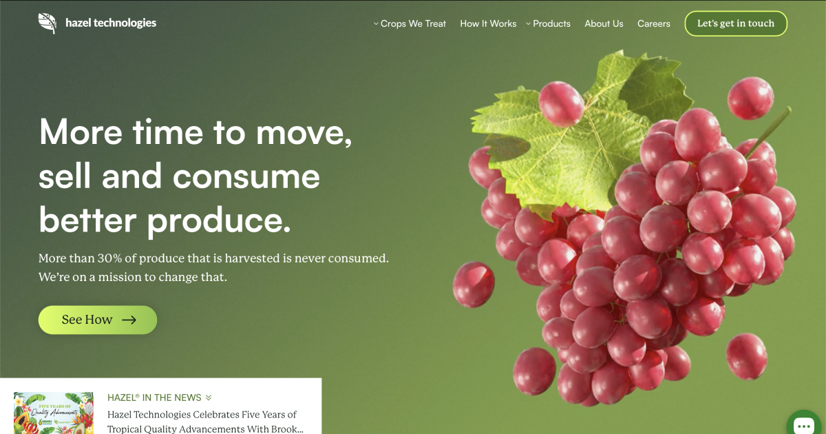 How Hazel Technologies Work