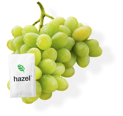 Hazel Breatheway® from Hazel Technologies