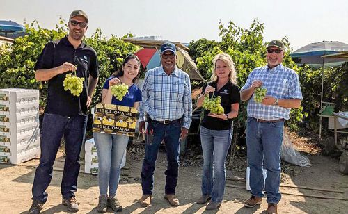 About Hazel Technologies