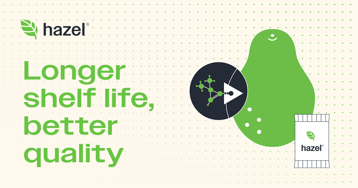 Cómo funciona Hazel Technologies